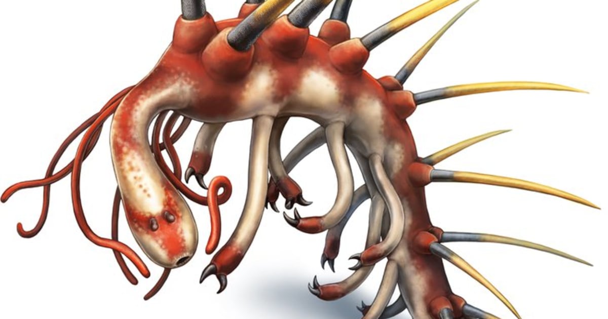 Heads or Tails? Scientists Decipher Which End is Which on Ancient Worm