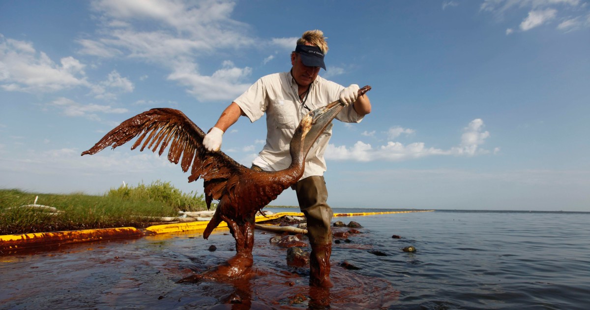 BP 2010 Oil Spill Settlement: A Timeline of Litigation