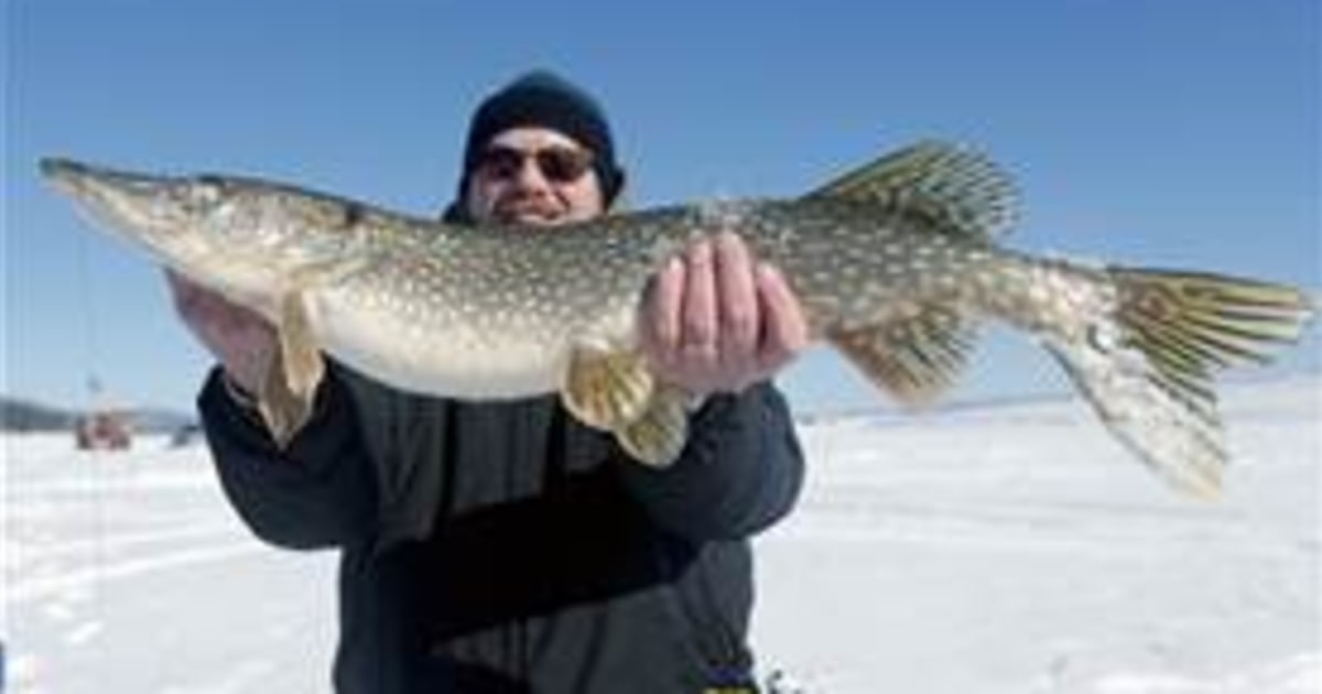 &#039;Super Predators&#039;: Humans Hunting Animals of Wrong Size and Age