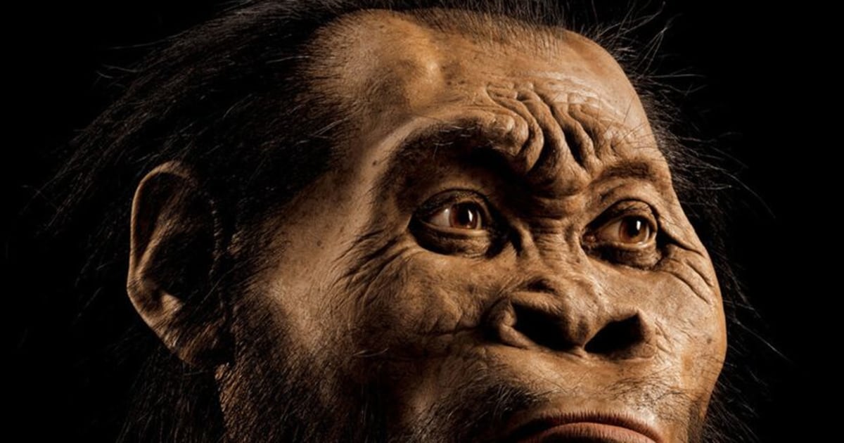 Scientists Reveal Homo Naledi Our Unprecedented Newest Cousin