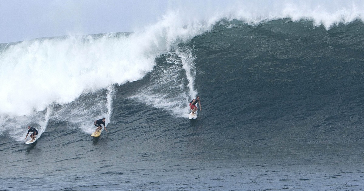 Shark Bites Surfer, 25, on North Shore of Oahu, Hawaii