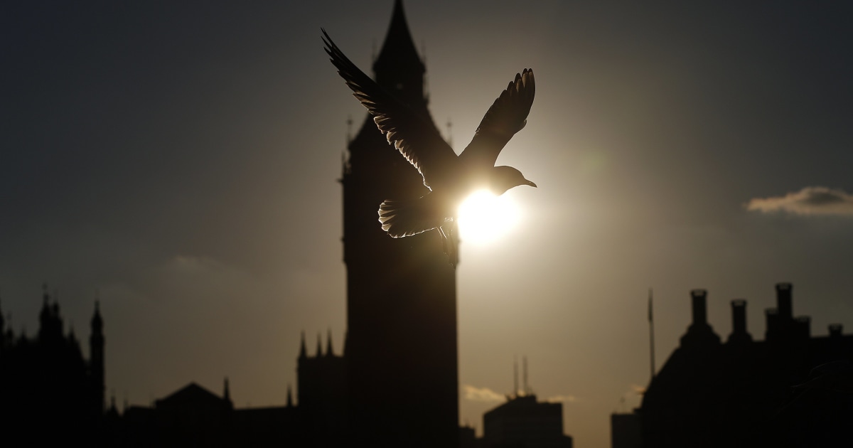 Today in Pictures: October 12