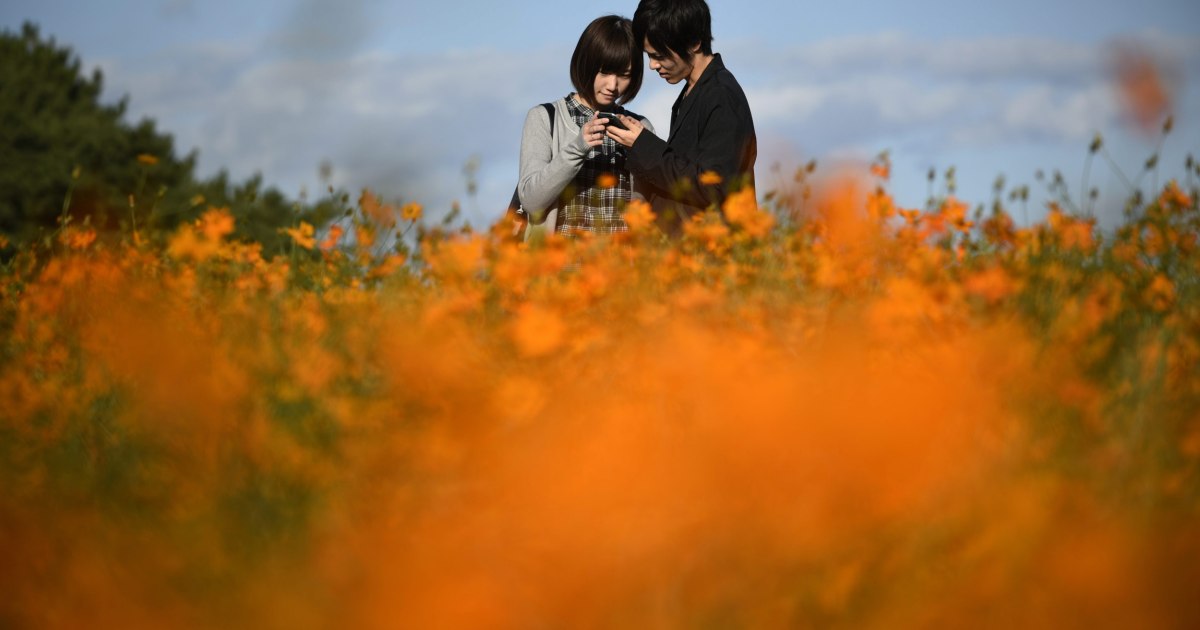 Today in Pictures: November 3