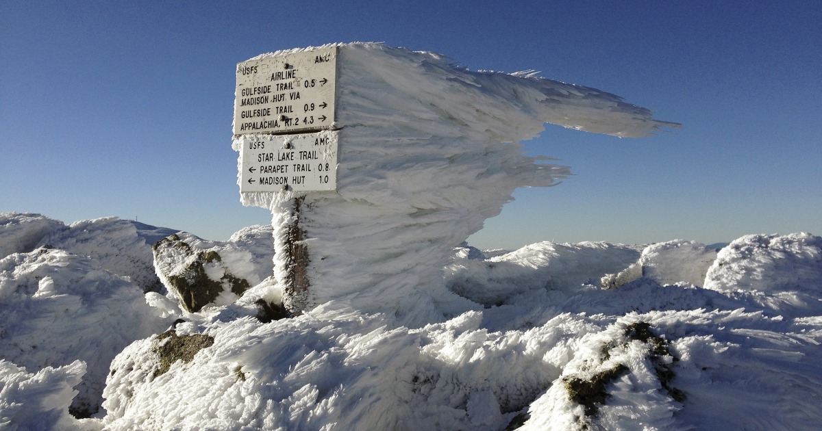 Today in Pictures: November 17