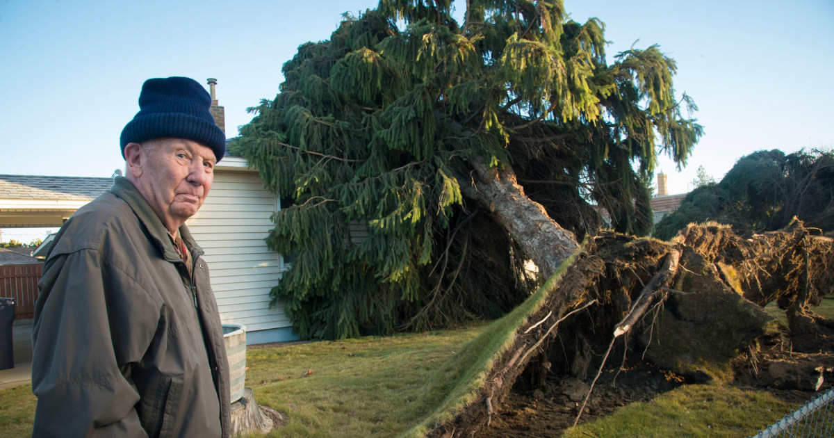Wet Winter: Storm Soaks States with Snow and Flooding