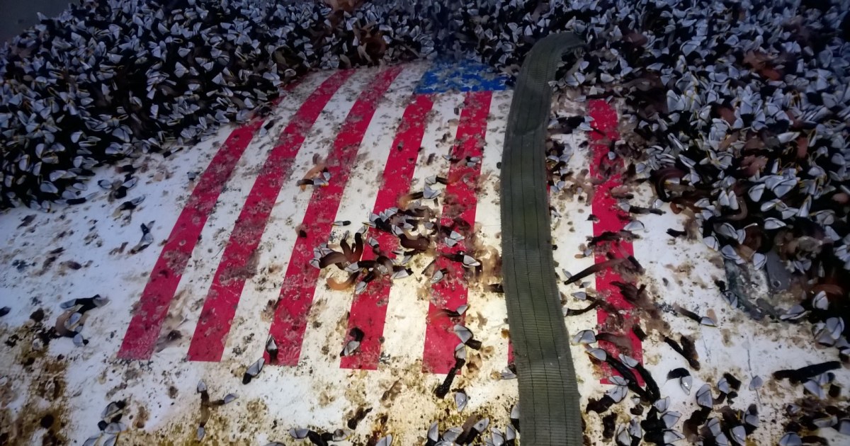 Debris Found Off U.K. Coast Could Be From SpaceX Rocket