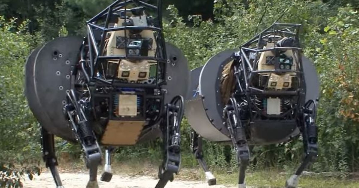 Robot Mule Put Out to Pasture by Marine Corps