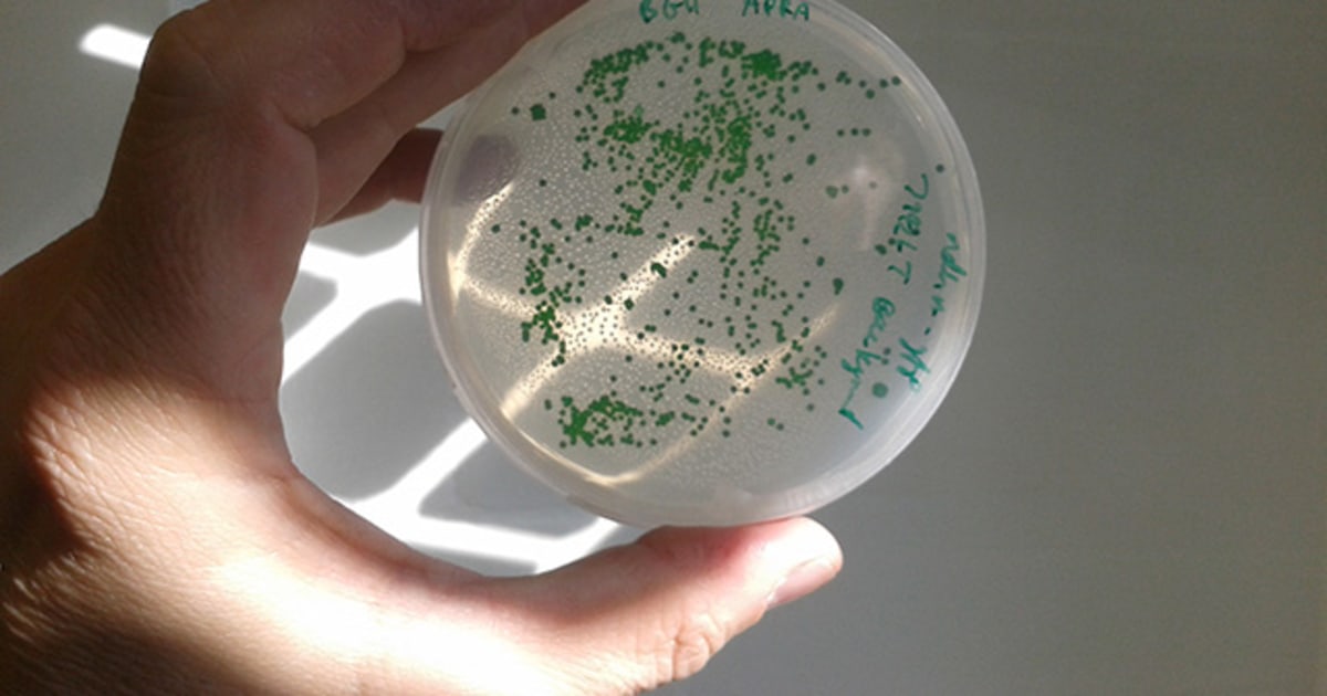 Bacteria Have Ability to 'See,' Eye-Opening Study Finds Bacteria Have Ability to 'See,' Eye-Opening Study Finds