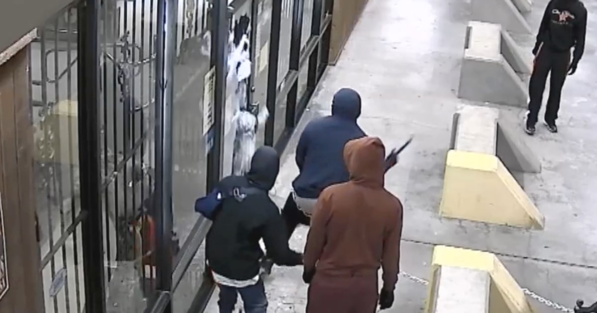 Cops Nab Suspects Who Robbed Carter's Country Guns & Ammo in Houston