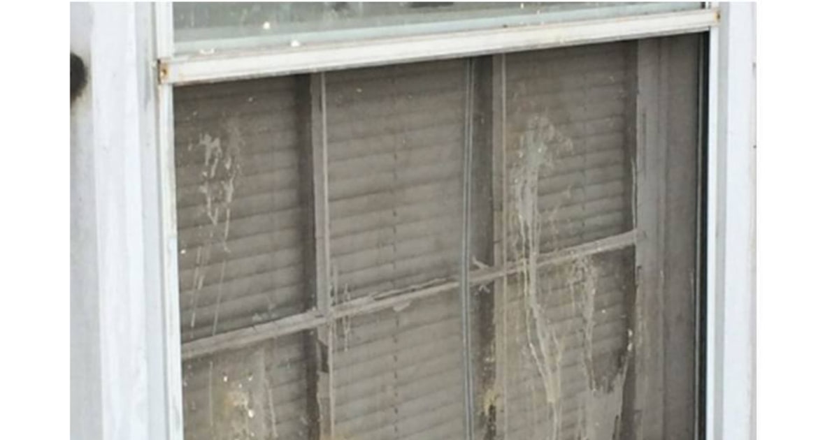 Ohio Man Jason E. Kozan Charged With Egging House Over 100 Times: Cops