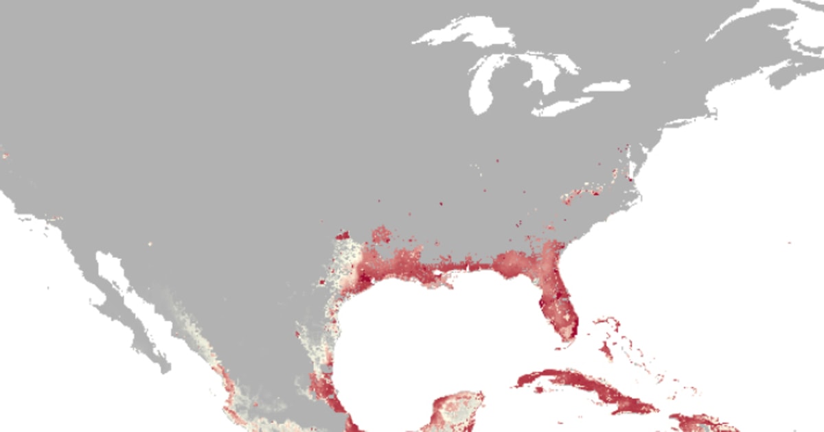 New Map Finds 2 Billion People At Risk of Zika Virus