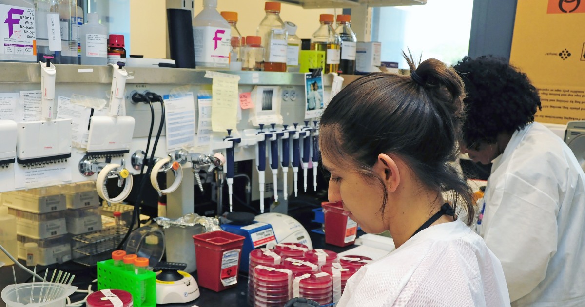 Superbug Source Remains a Mystery