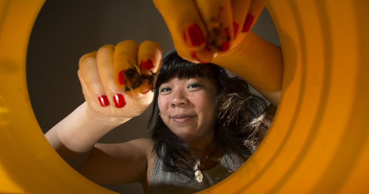 From Red Carpets to Banana Peels, Rebecca Louie Is Paving Her Own Path