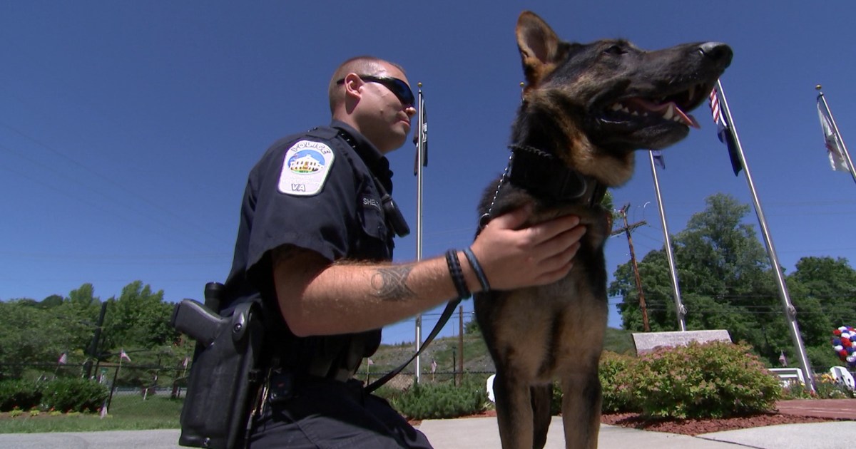 Philadelphia Program Throw Away Dogs Turns Strays Into Police K-9 ...