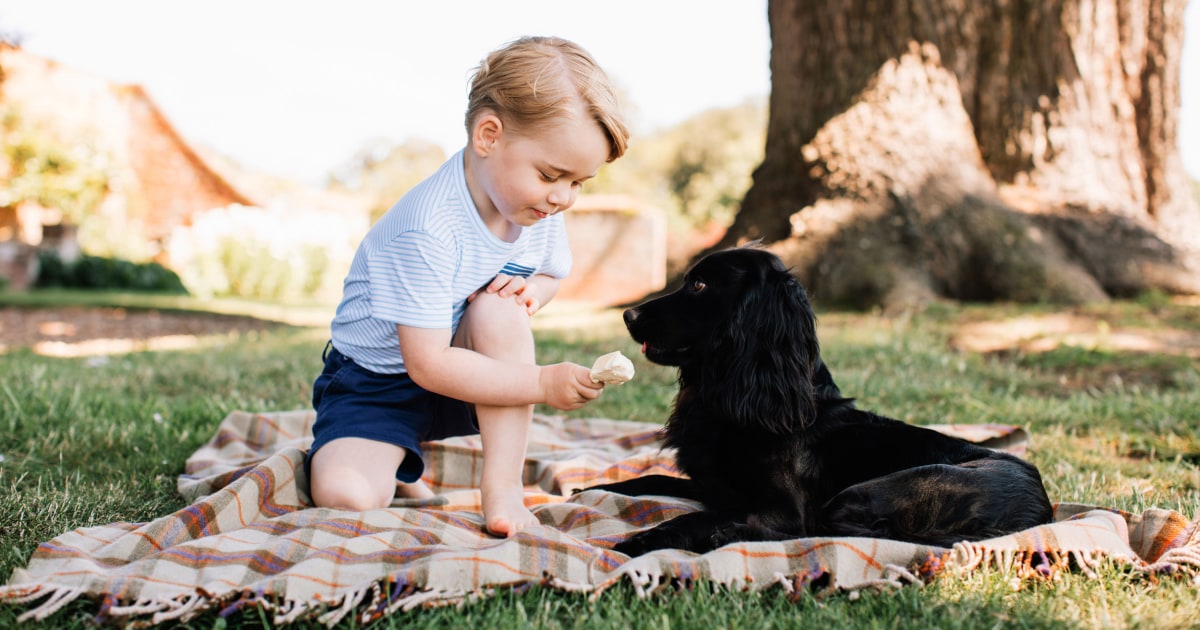 New Pictures of Prince George Released on Third Birthday