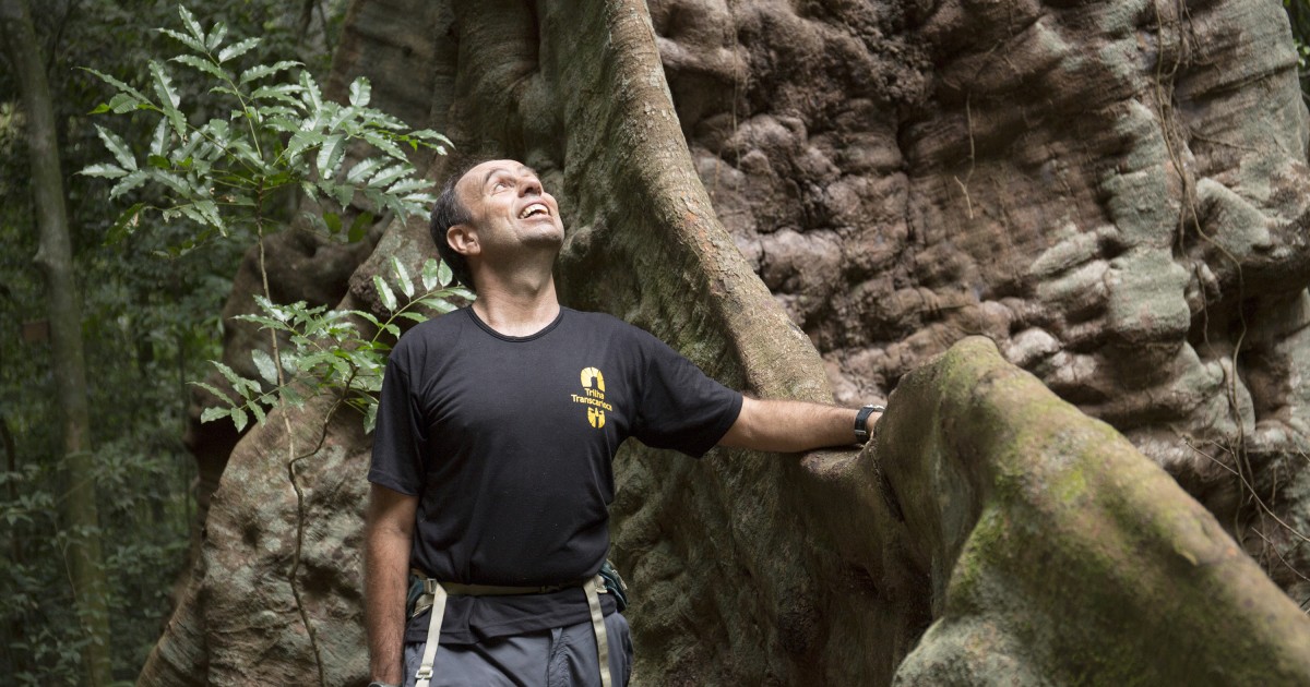 Escaping the Olympics via Rio's Magical Urban Jungle