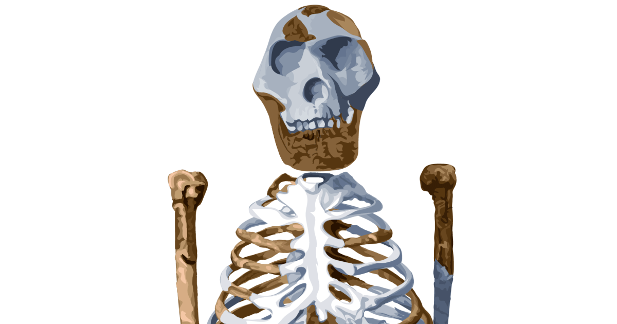 Pre-Human Lucy Climbed Trees, Scans Show