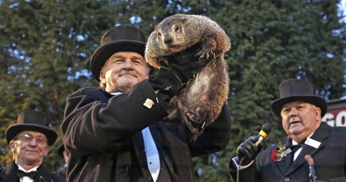 Groundhog Day Spotlights America's Favorite Weather Animal