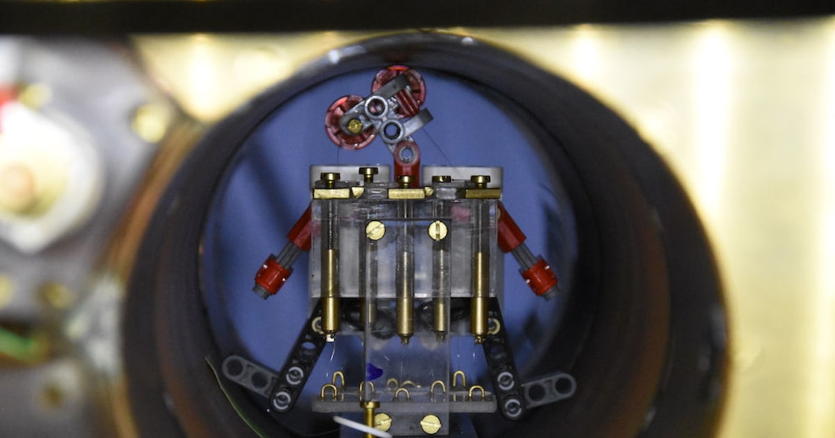 These Tiny Robots May Bring Big Change to Cancer Care