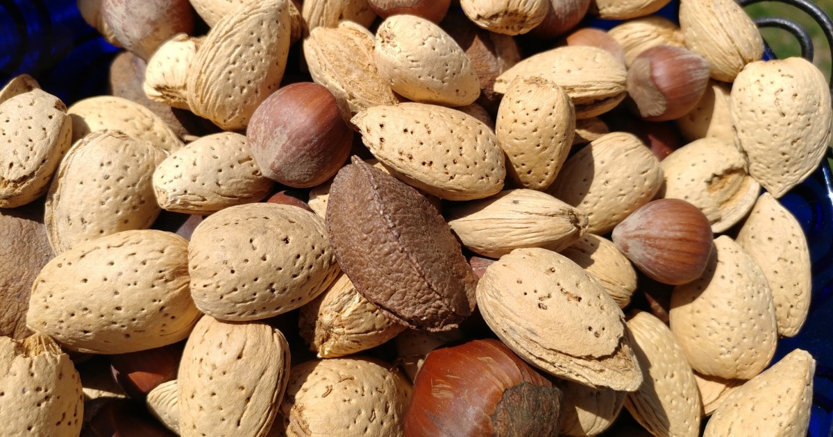 Allergic to Peanuts? Tree Nuts May Be OK