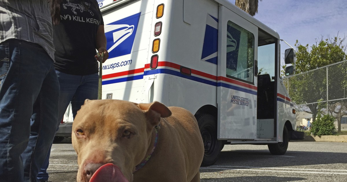 Dog Attacks on Mail Carriers Rise Again as Online Sales Boom