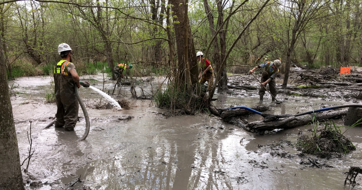 Feds Halt New Drilling on Rover Pipeline After Spill Into Ohio Wetland