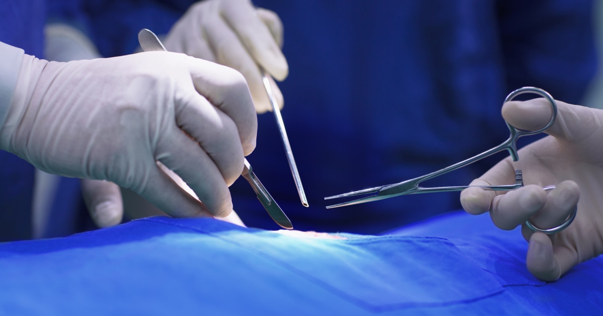 'Beating Heart in a Box' Promises Major Revolution in Medical Care