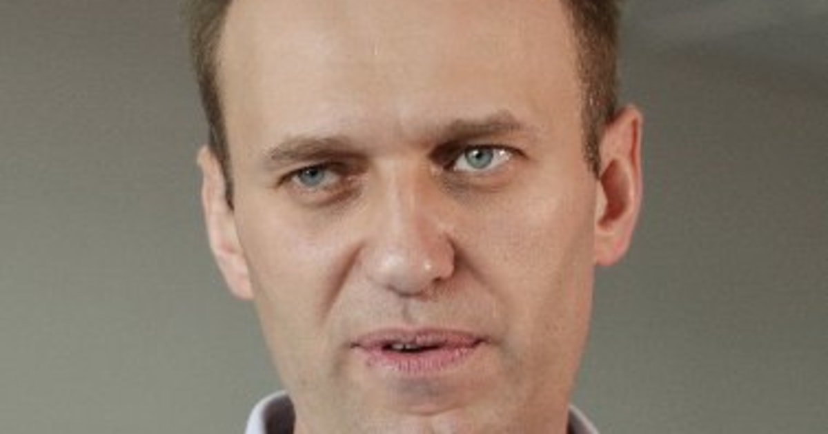 Alexei Navalny, Russian Opposition Leader, Released From Prison