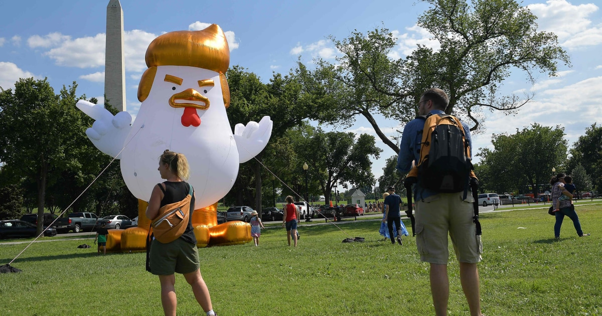 Inflatable Trump Chicken Takes Roost Near White House