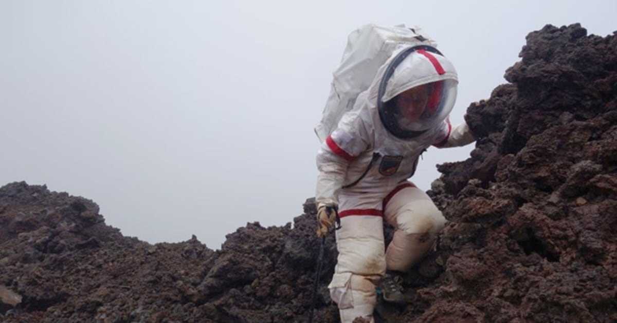 'Space Brain': Mars Explorers May Risk Neural Damage, Study Finds