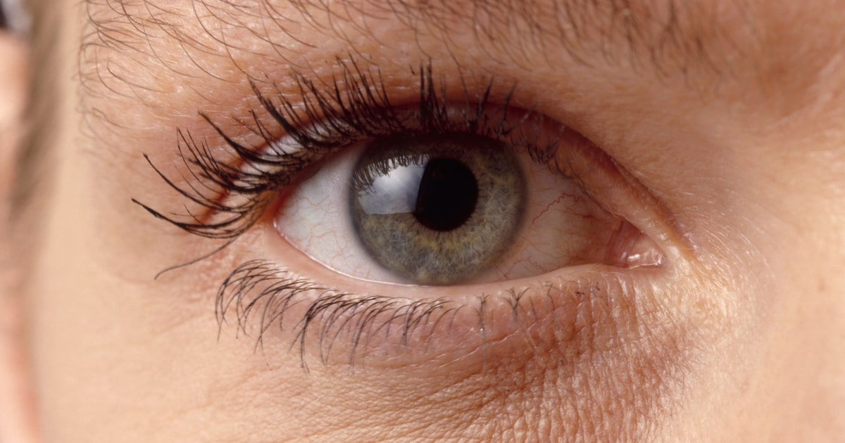 Scientists Foresee Fixes Even for Complicated Forms of Blindness