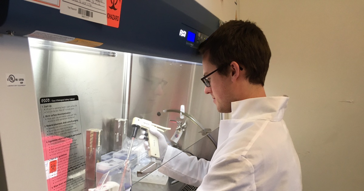 Here's One Reason Flu Vaccines Are So Lousy: They're Grown in Eggs