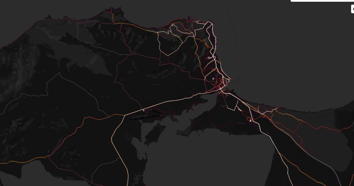 Strava fitness tracking map reveals military bases, movements in war zones