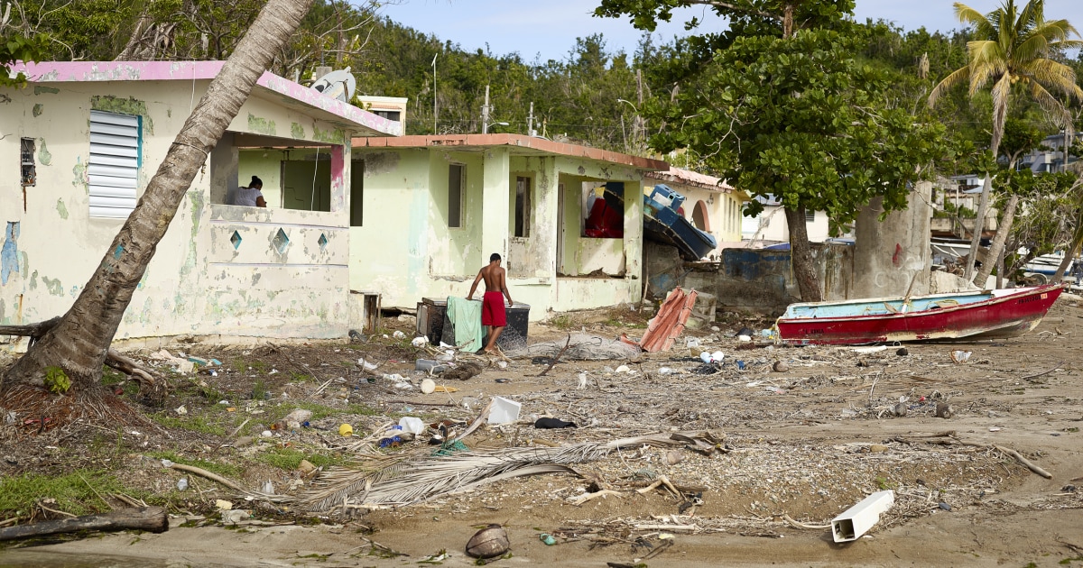 Artist Ai Weiwei visited Puerto Rico as part of research into mass ...