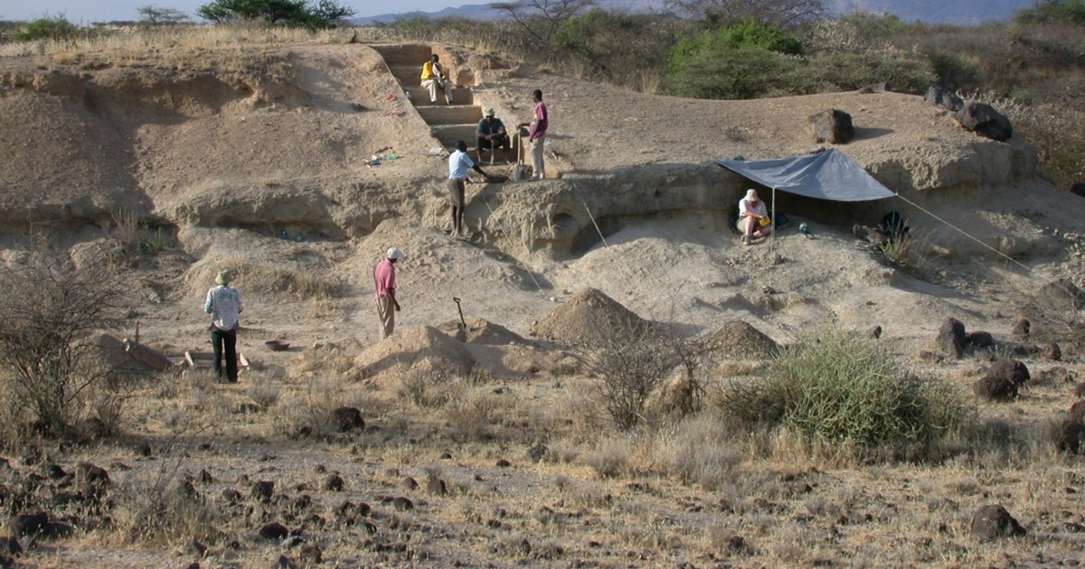 Did climate change help modern humans emerge?