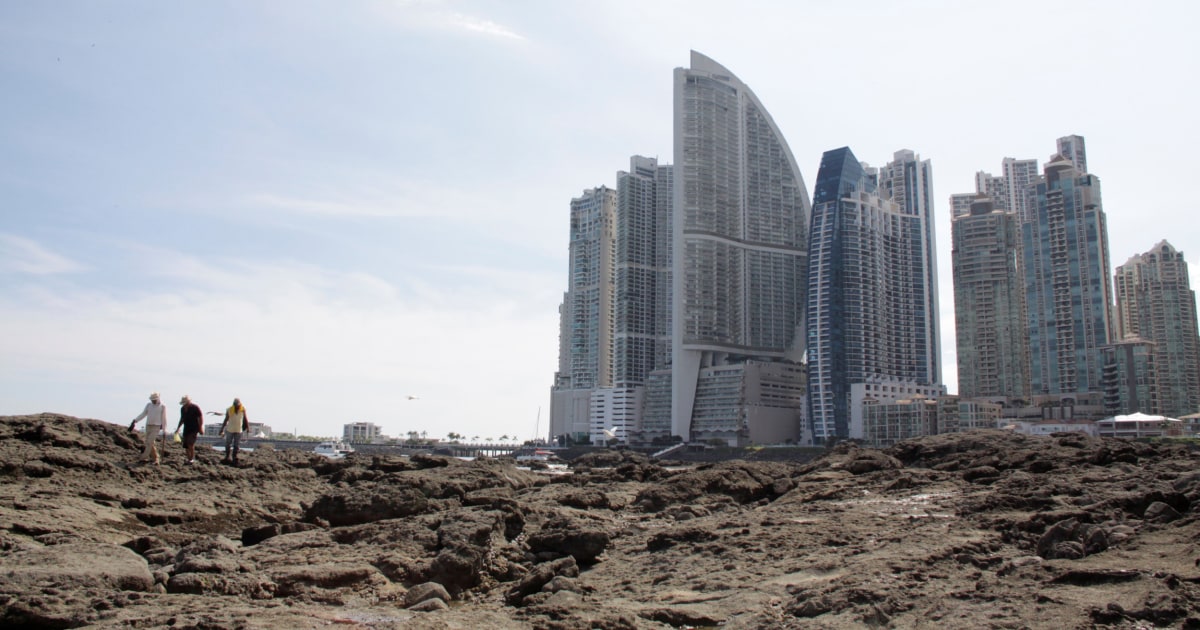 Hotel investor: Trump evaded taxes in Panama