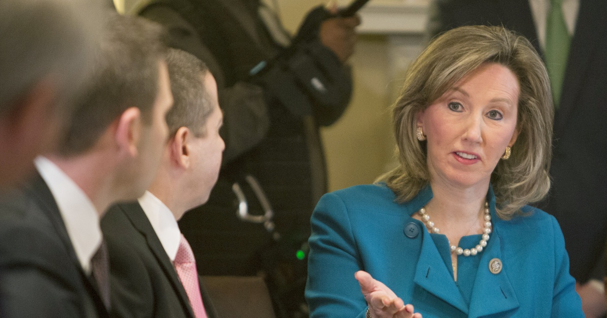 In rapidly changing Northern Virginia, gun debate is a dilemma for ...