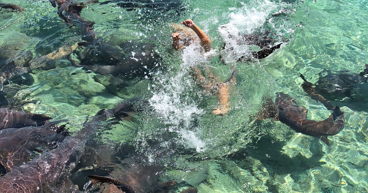 Shark attacks California Instagram model in Bahamas