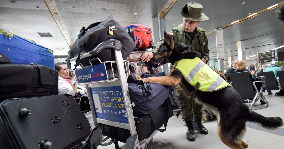 Colombian cartel puts $7,000 bounty on drug dog