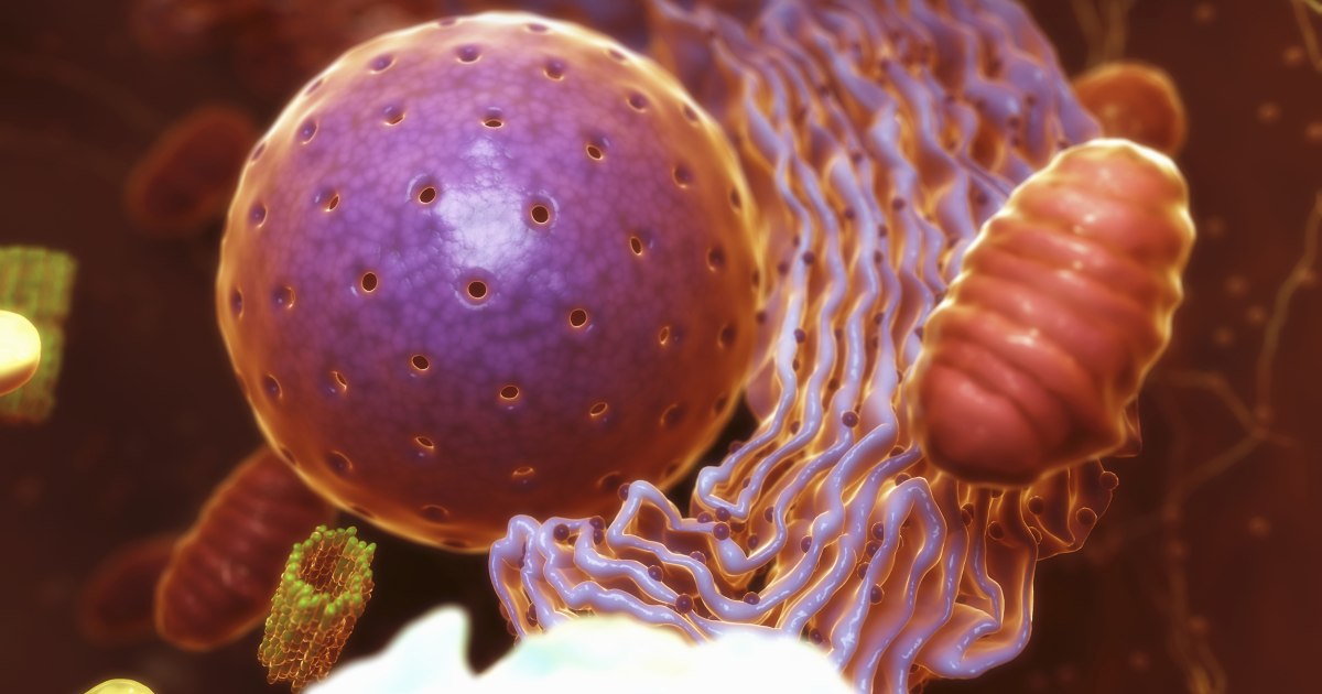 Scientists calculate the speed of death in cells, and it's surprisingly ...