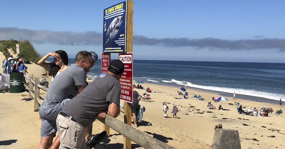 Cape Cod shark attack victim told aunt he wouldn't get bitten