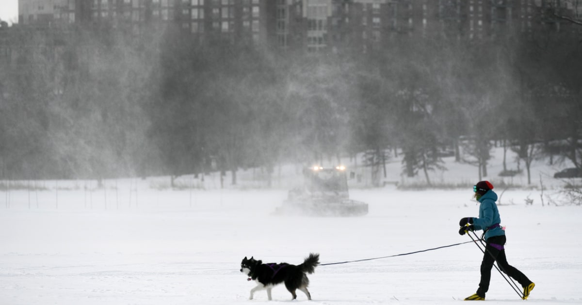 Extreme cold gripping Midwest does not debunk global warming, experts say