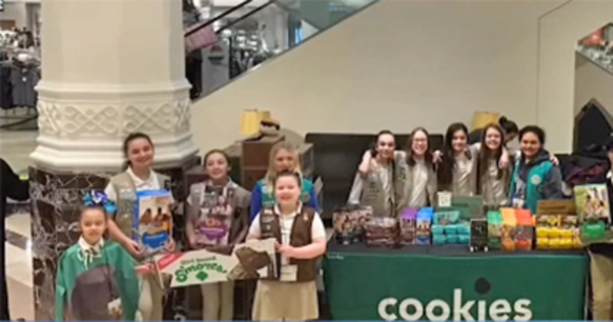 Girl Scouts troop leader axed after cookie money theft story falls apart