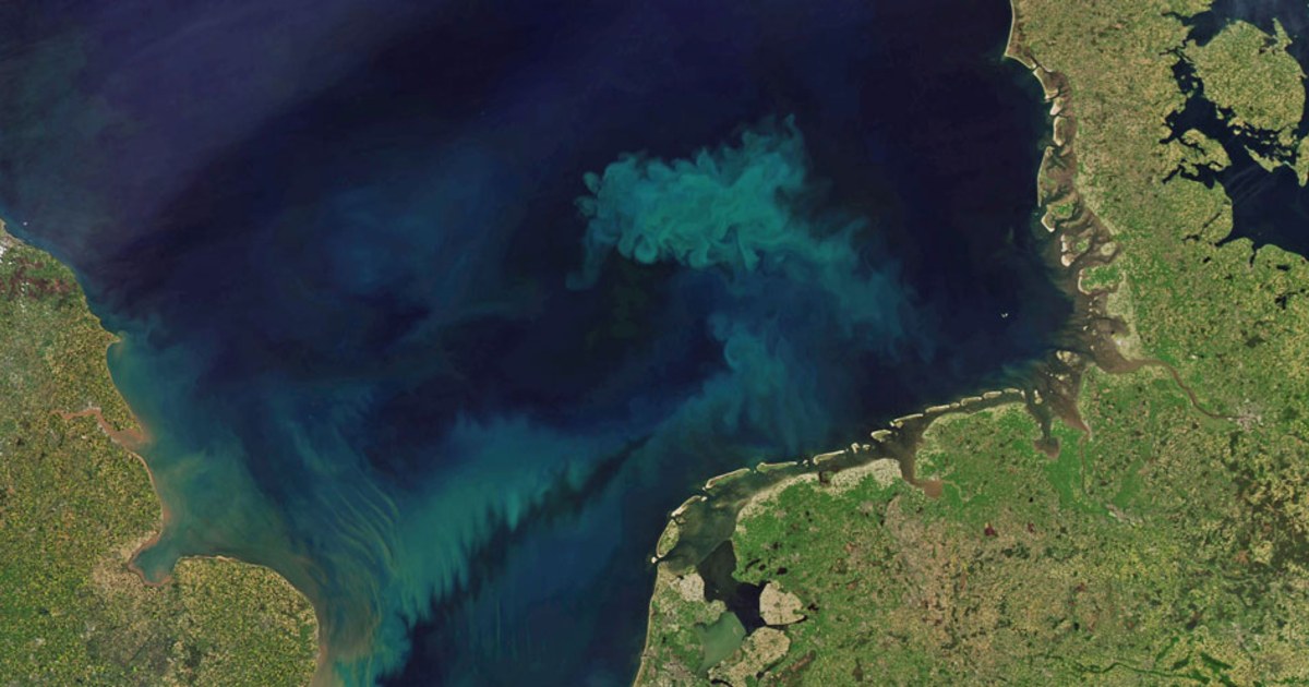 Global warming will cause the world's oceans to change color. Here's why.