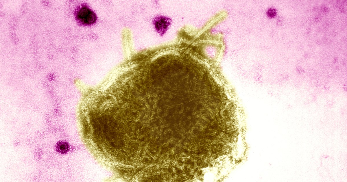 Five Babies Infected in Chicago-Area Measles Cluster