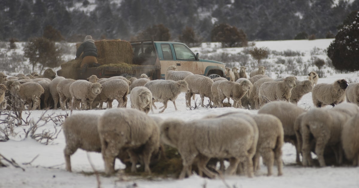 Farmers and trappers say limiting animal trapping threatens a way of life