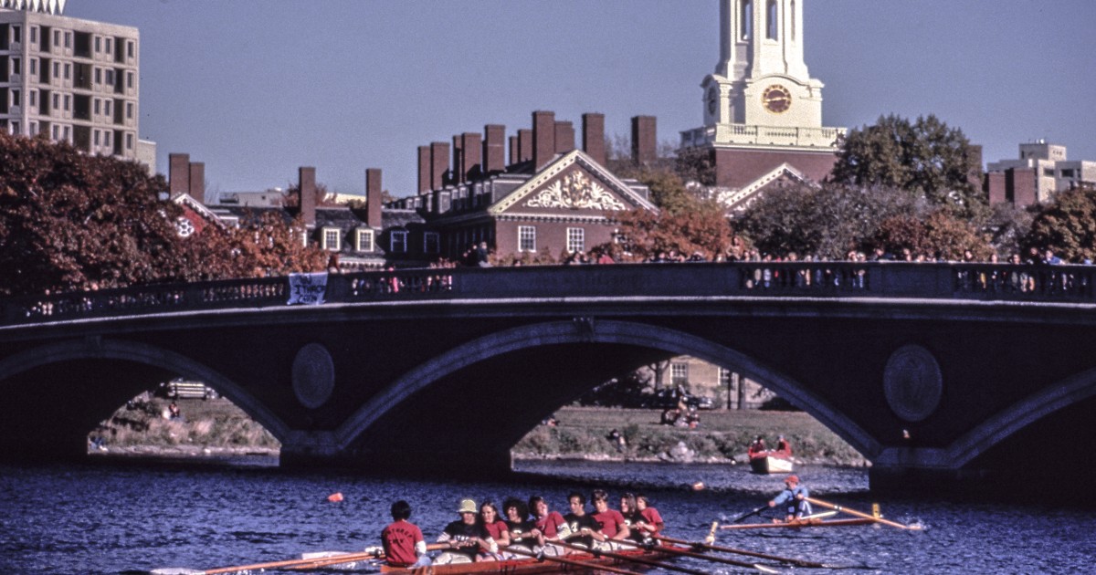 College admissions scandal highlights the corrupt and exploitative ...