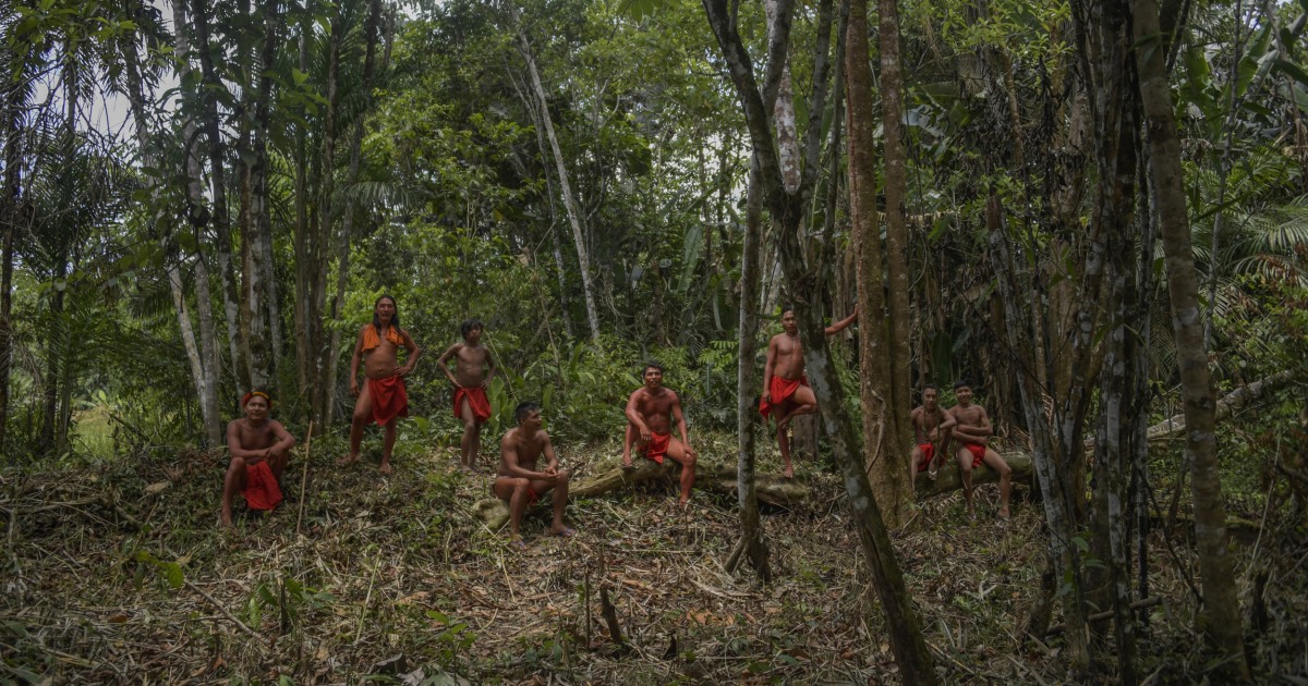 "We are in great danger": In Amazon, indigenous Waiapi chief is killed ...