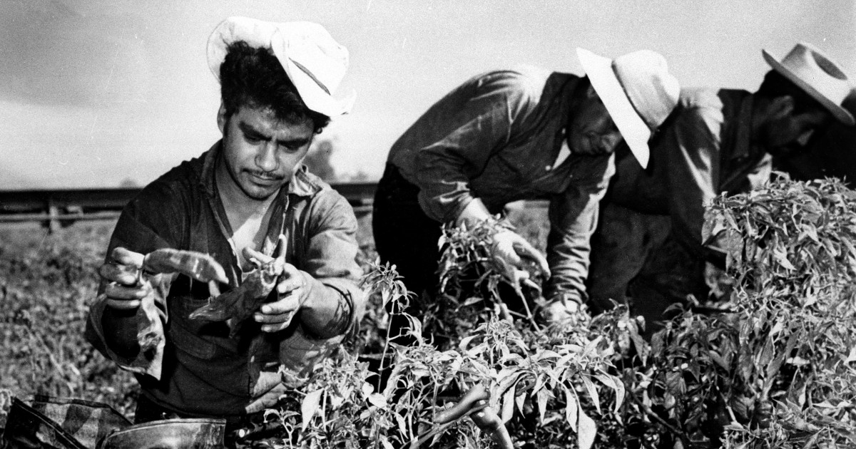 A former 'bracero' feels seen with new statue honoring immigrant labor ...