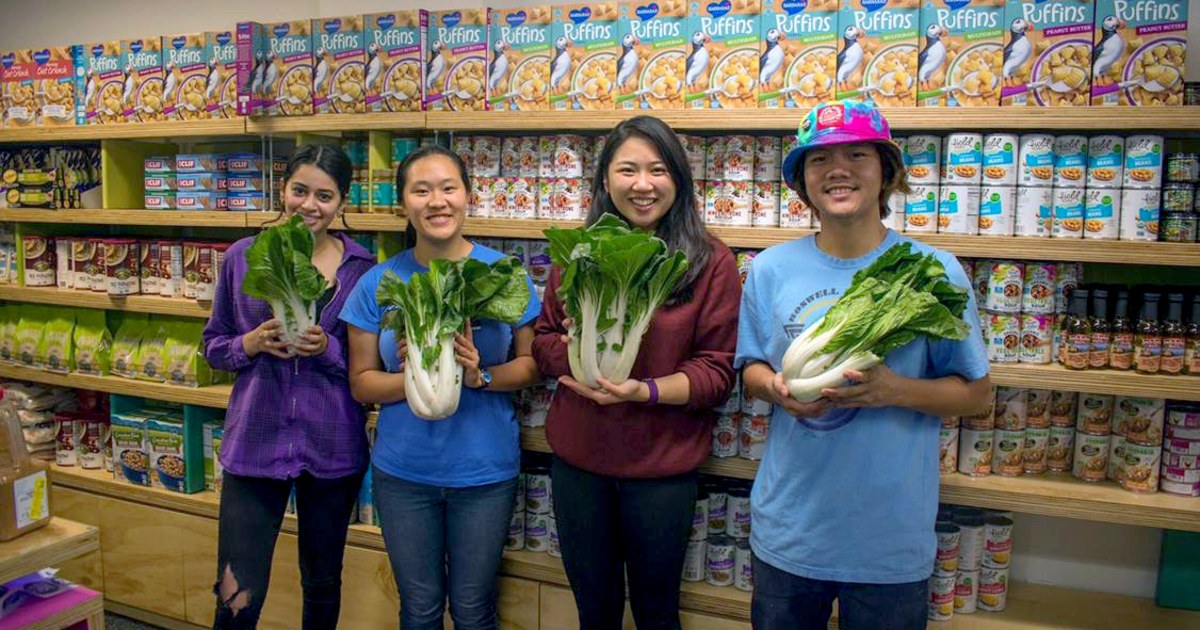 Hunger on campus: The fight against student food insecurity